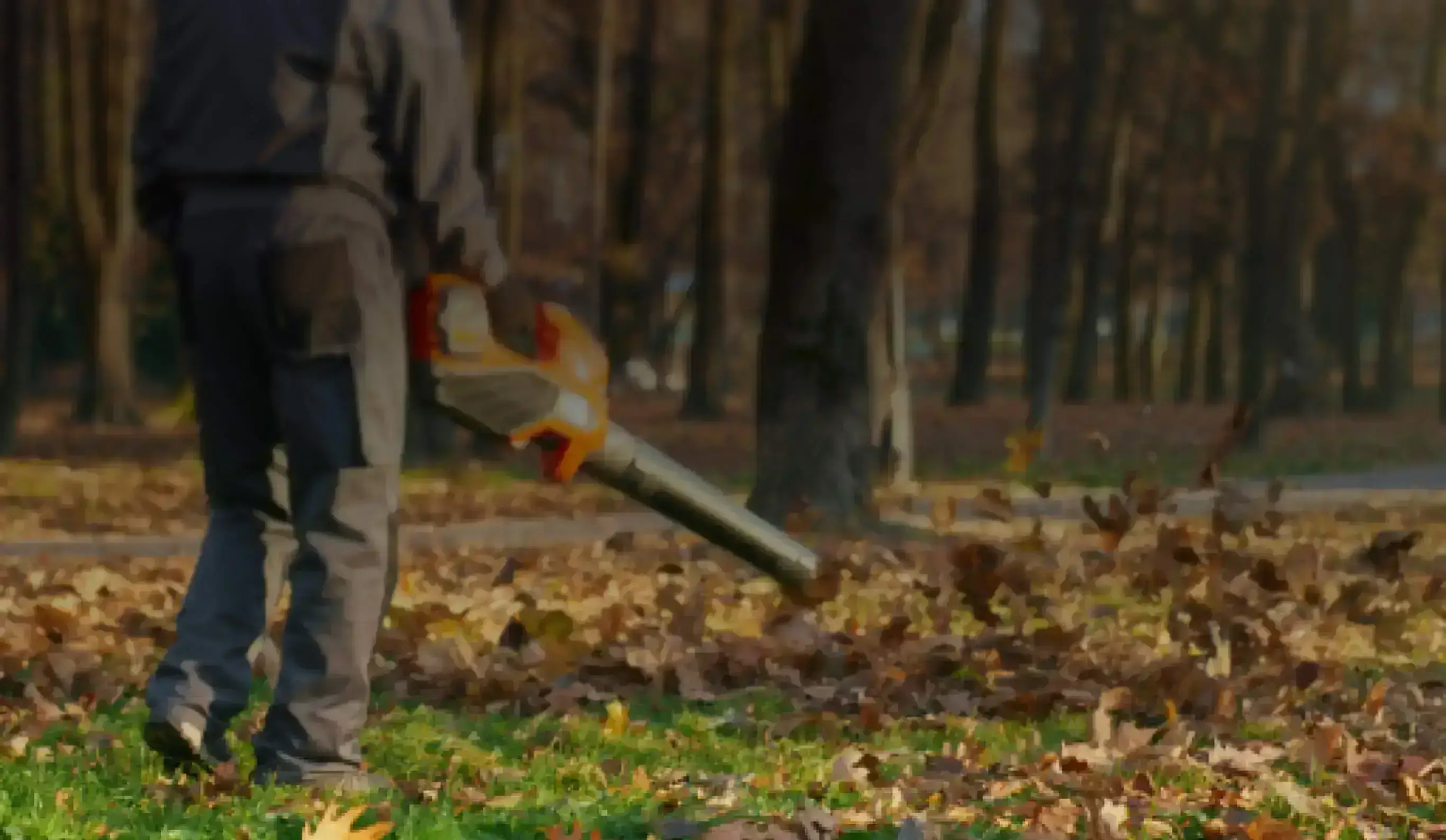 Leaf Removal in Omaha, NE | GreenPal